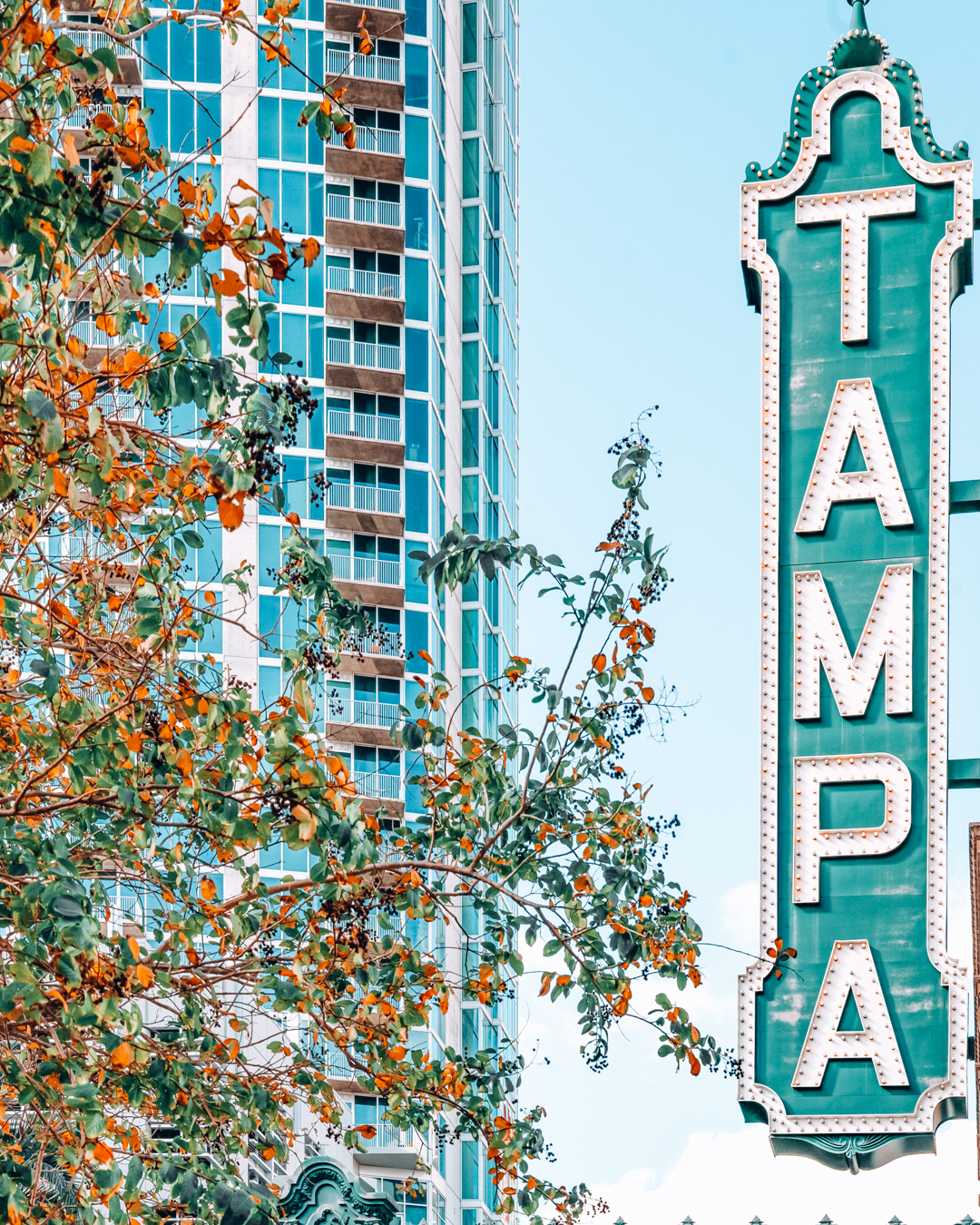51 Most Instagrammable Places in Tampa: Best Photo Spots in Tampa